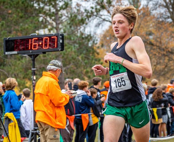 Boys x-country: Mustangs, McArthur run to Section 5AAA titles | Local ...