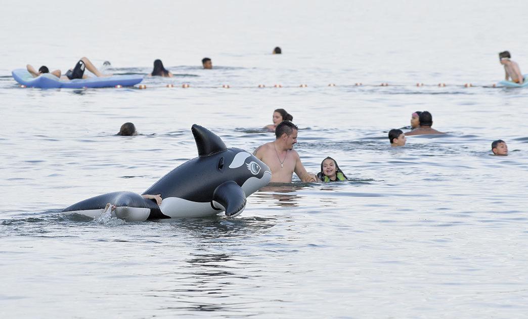 Friendly orca sighting | White Bear | presspubs.com