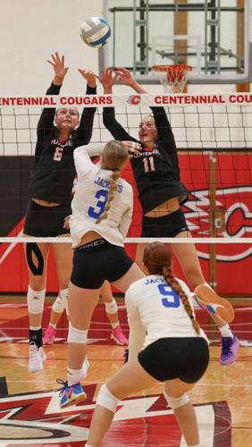 Volleyball: Cougars beat Cambridge-Isanti in opener | Local | presspubs.com