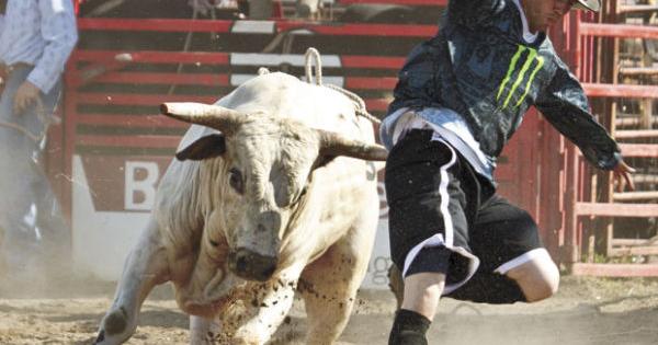 Rodeo couple share the same dreams | News | presspubs.com