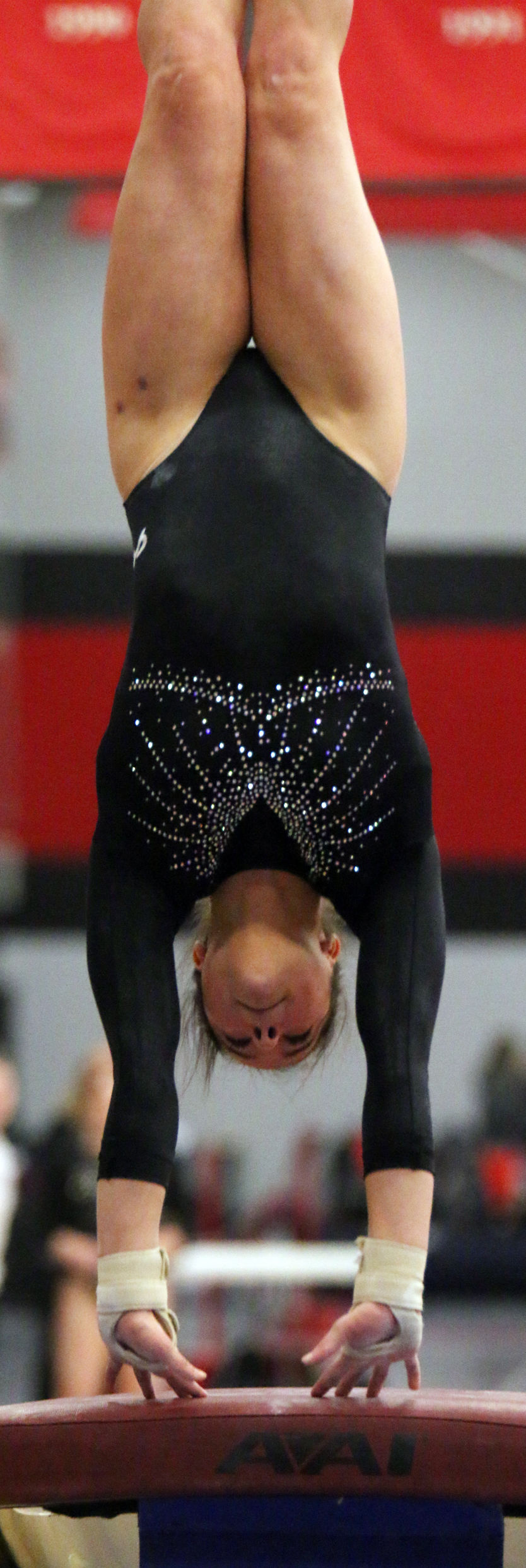 Gymnastics: Clark, Bateman advance to state, MVI places 2nd at section ...