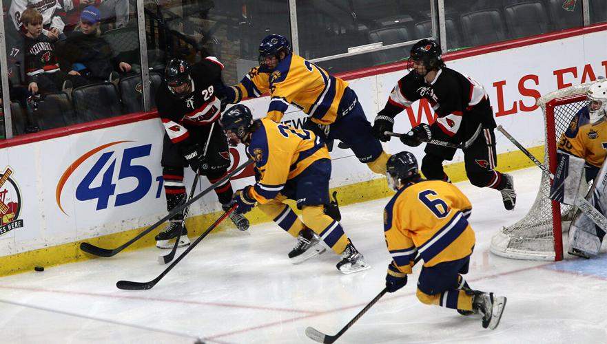 Boys hockey: Bohmert sparks Zephyrs past Alexandria 6-3 at state ...