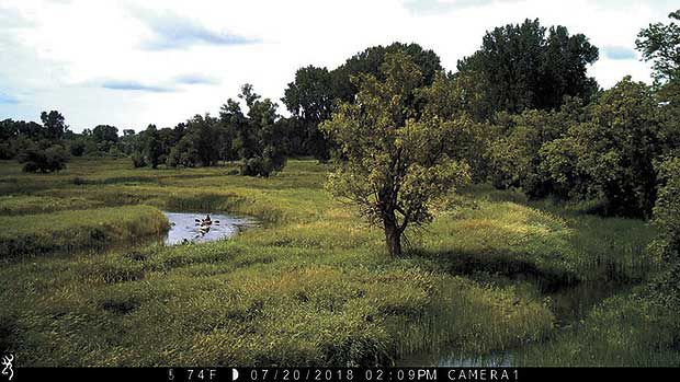 New twists on a Twin Cities paddling route built to improve water ...