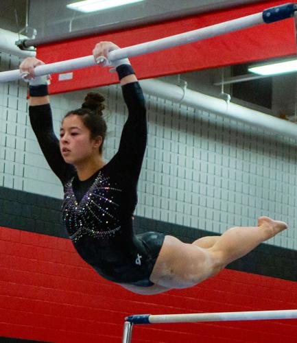Gymnastics: Clark, Bateman advance to state, MVI places 2nd at section ...