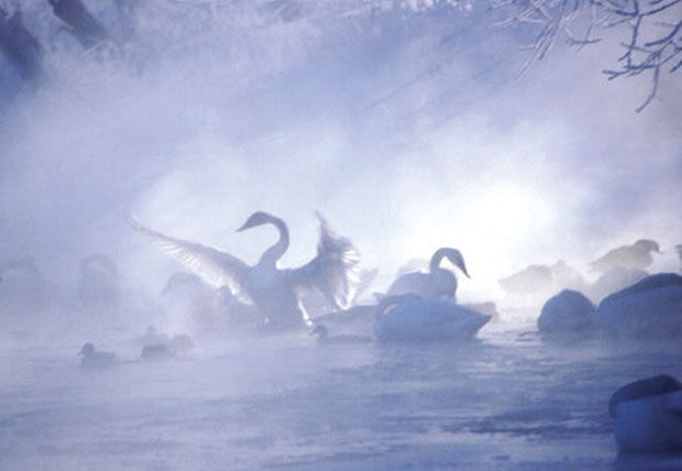 Savour | presspubs.com