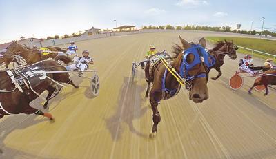 Running Aces begins harness racing season | News | presspubs.com
