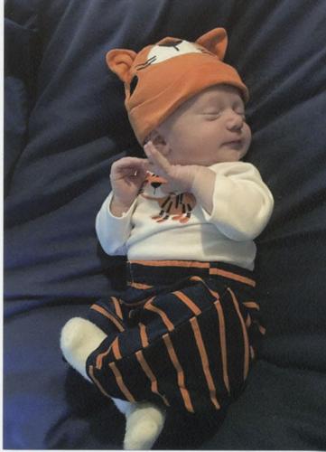 Nitzel | Births | presspubs.com