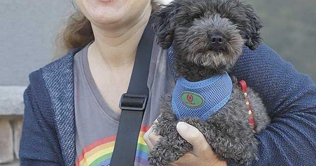 A barkin’ good time: Local dog trainer details her story | News ...