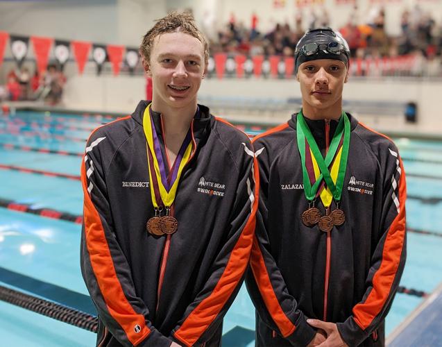 Swimming: Bears 5th in section, set 2 team records; 2 divers advance ...