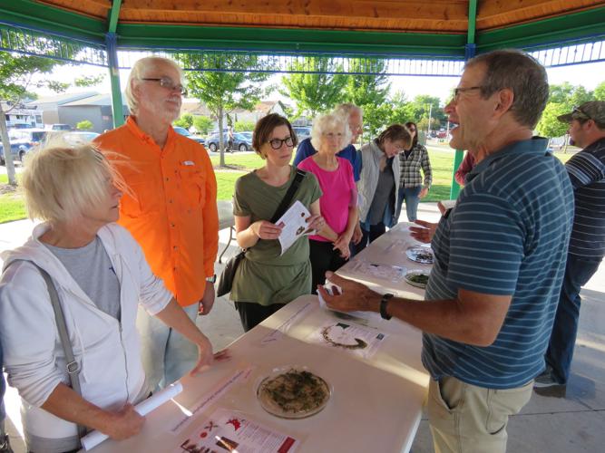 How to identify invasive species in your lake | Forest Lake | presspubs.com