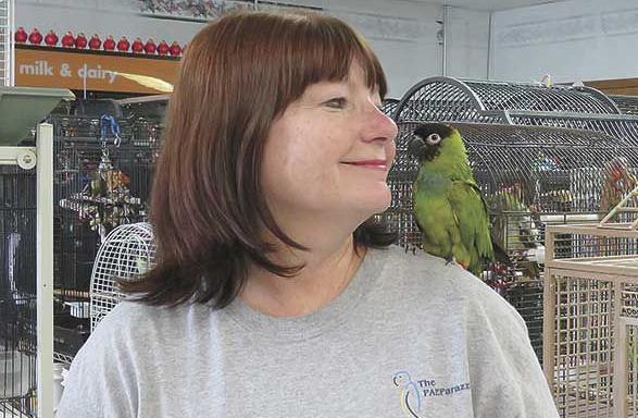 Parrot Adoption Education Program finds new roost in Forest Lake | News ...