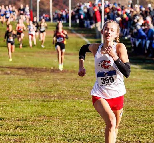 Cougar runners place 8th at state; Nelson all-state again | Local ...