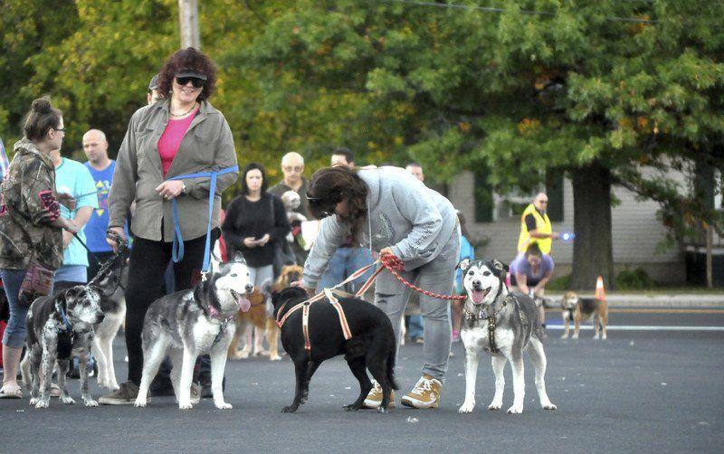Hundreds bring pets to Peru rabies clinic | Local News ...