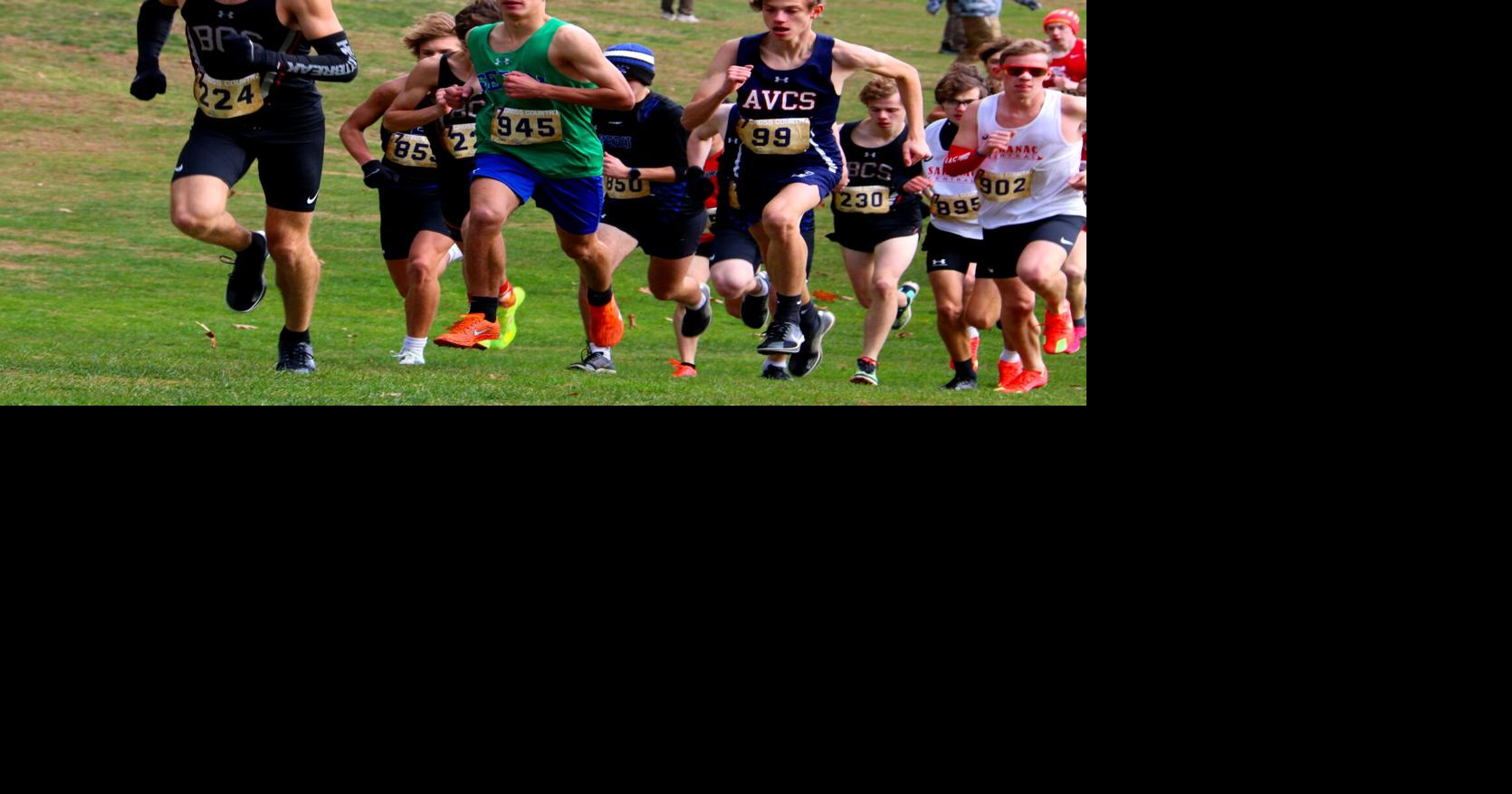 Laidman, Boulds capture Section VII cross country crowns | Sports ...