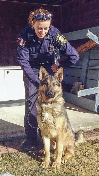 Ticonderoga Police hound, Tusko, in training | Local News ...