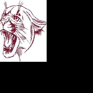 NCCS edges Saranac for Class B Game 1 victory | Sports ...