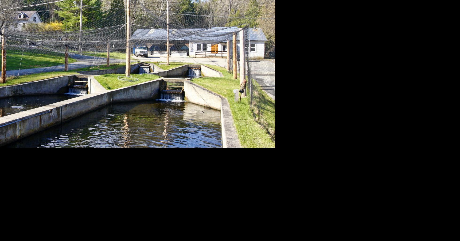 Essex County Fish Hatchery gone by July 1 | News | pressrepublican.com