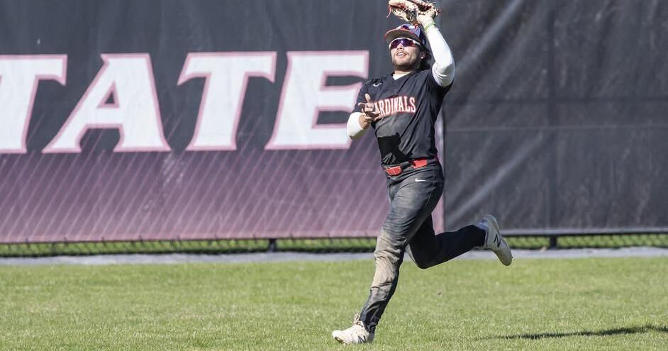 Plattsburgh baseball holds on to defeat Clarkson | Sports ...