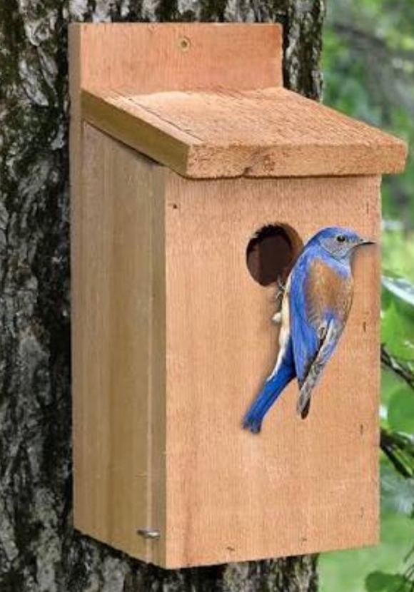 E'town Social Center hosts bird house, feeder workshop for kids | News ...