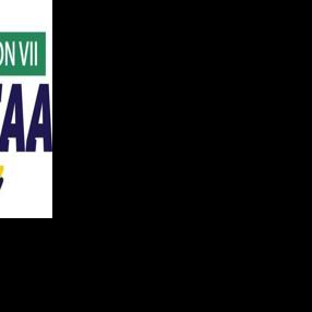 NYSPHSAA introduces new rules to curb poor spectator behavior | Sports ...