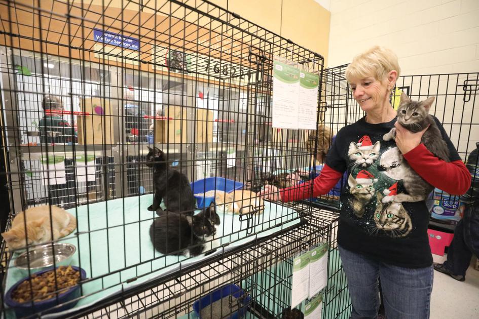 Animal Rescue group holding Saturday adoption events | News ...
