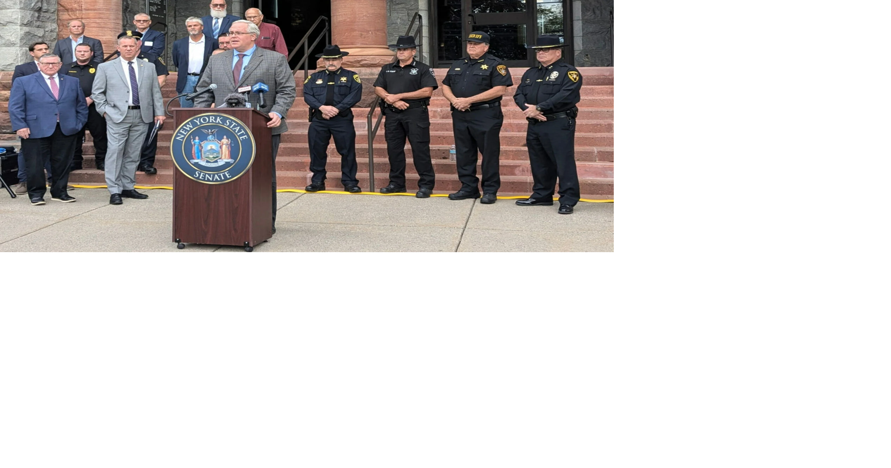 Stec calls for Green Light Law repeal | News | pressrepublican.com