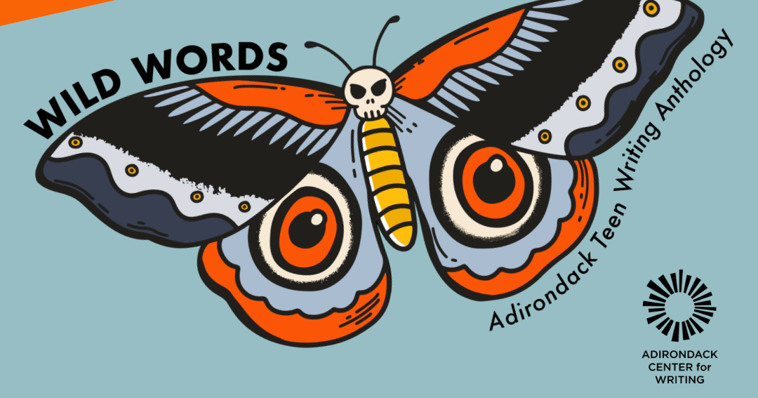 Book launch flyer | News | pressrepublican.com