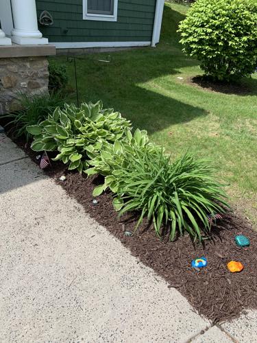 SPRUCING UP THE CENTER | Top Stories | primepublishers.com