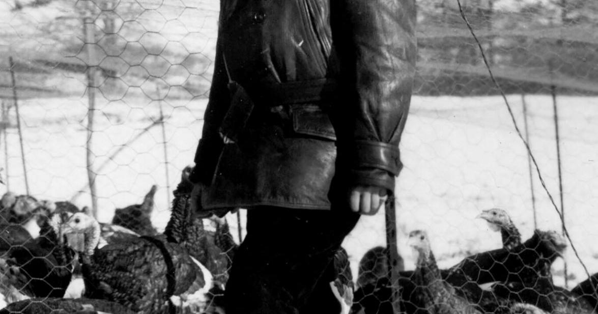 Artist to Agrarian: Flanders Examines Evolution of Founder Natalie Van ...