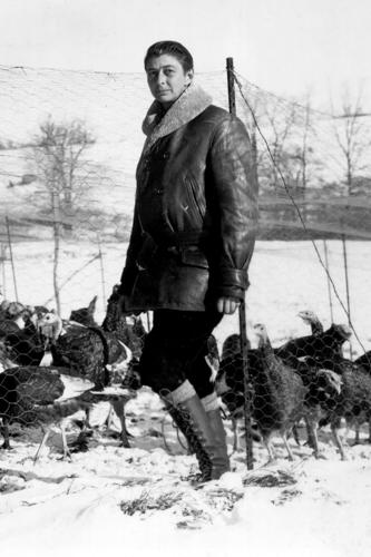 Artist to Agrarian: Flanders Examines Evolution of Founder Natalie Van ...