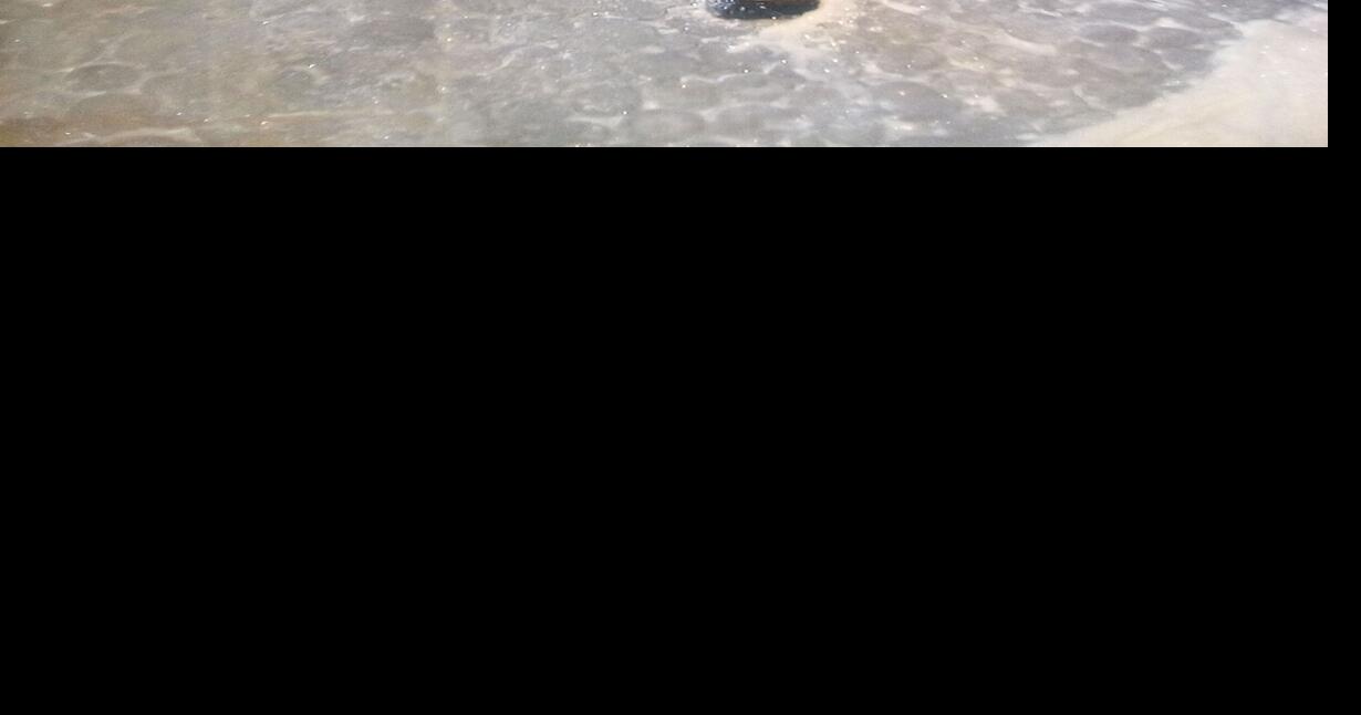 Scrooge-Themed Gingerbread Creation Entered in Annual Gingerbread ...