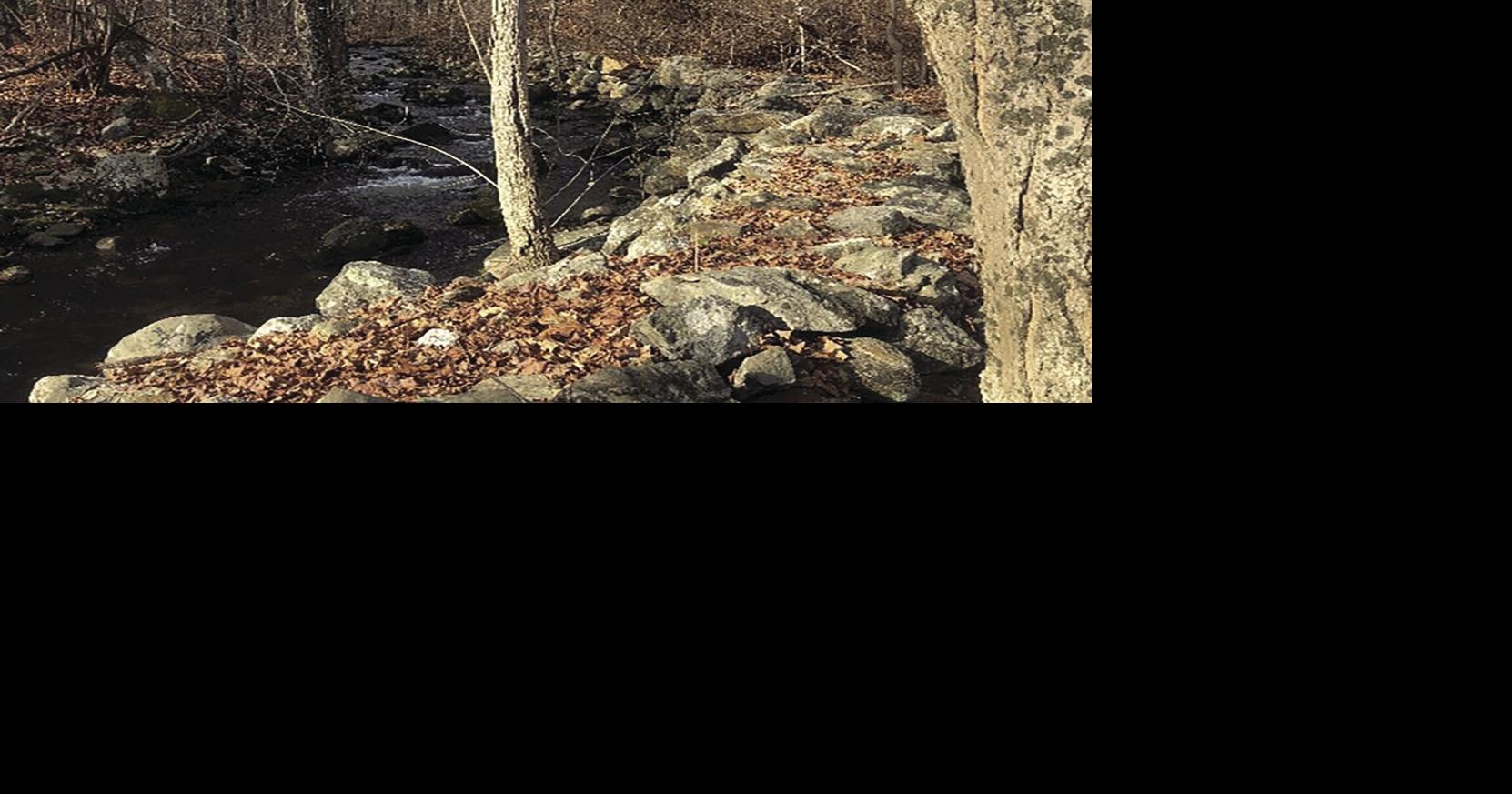 Non-Profit to Support Building Pedestrian Bridge Over Little River ...