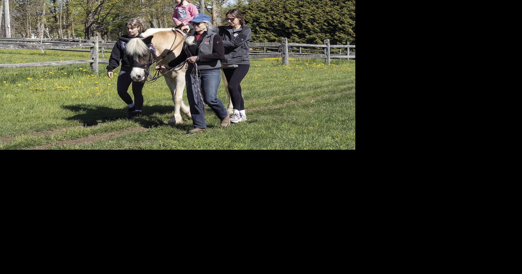 Little Britches Therapeutic Riding Plans Virtual Auction Fundraiser ...