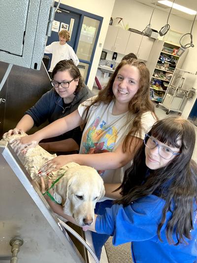 NHS Veterinary Science Students Make Good Use of $10,000 Grant ...