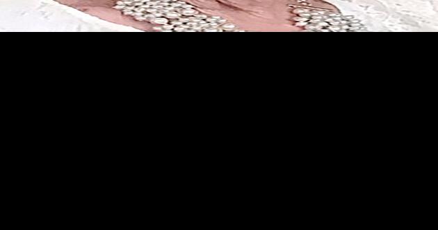 Mary Arlene (Minks) Cahill | Obituaries | primepublishers.com