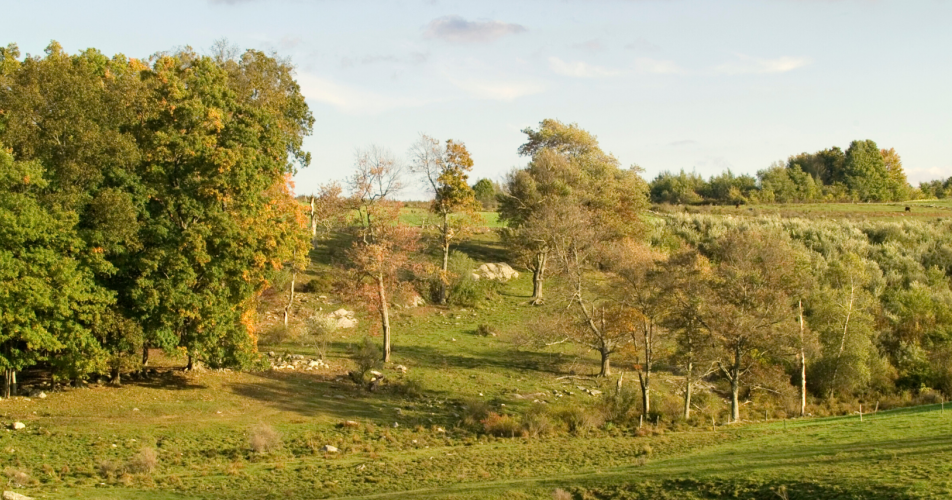 Connecticut Farmland Trust: Preservation of Gustafson Farm in Watertown ...