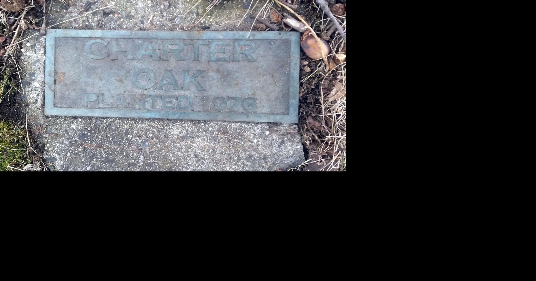 In Woodbury: Residents Unearth and Restore Marker for Charter Oak Tree ...