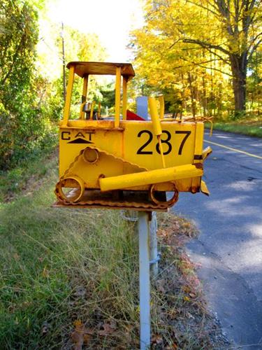 Star Buck | Community News | primepublishers.com