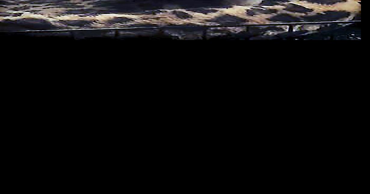 PEGASUS | Pets & Horses | primepublishers.com