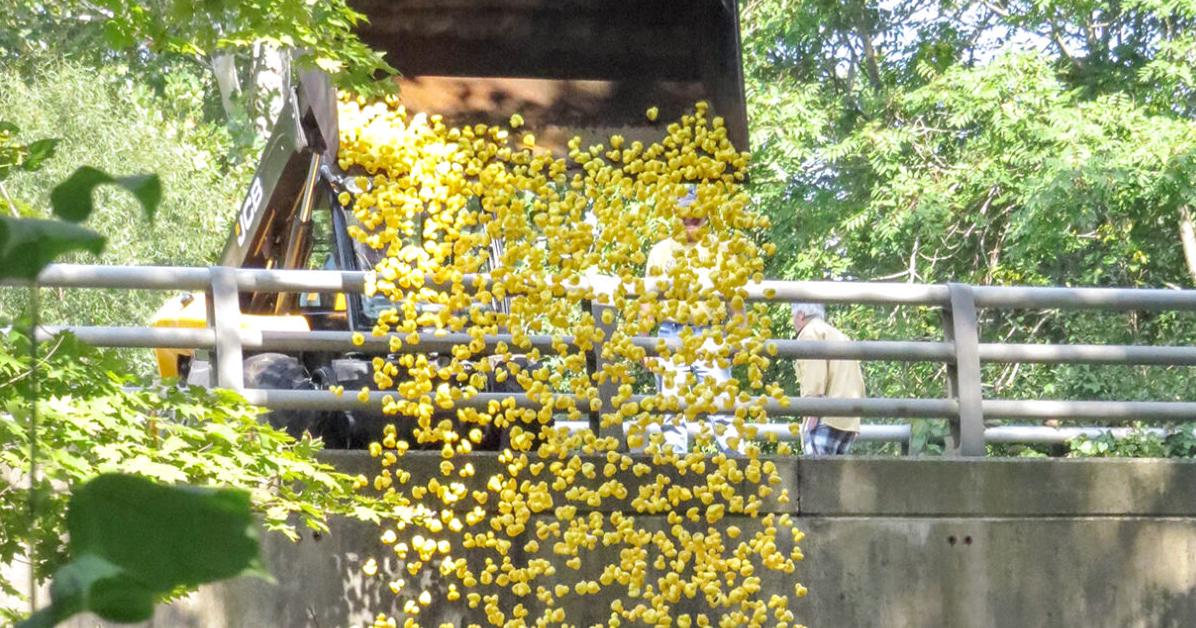 Woodbury Lions Club to Host Annual Duck Race September 9 | Community ...