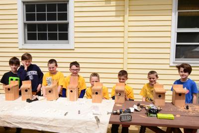 SCOUTS MAKE BIRDHOUSES | Young People | primepublishers.com
