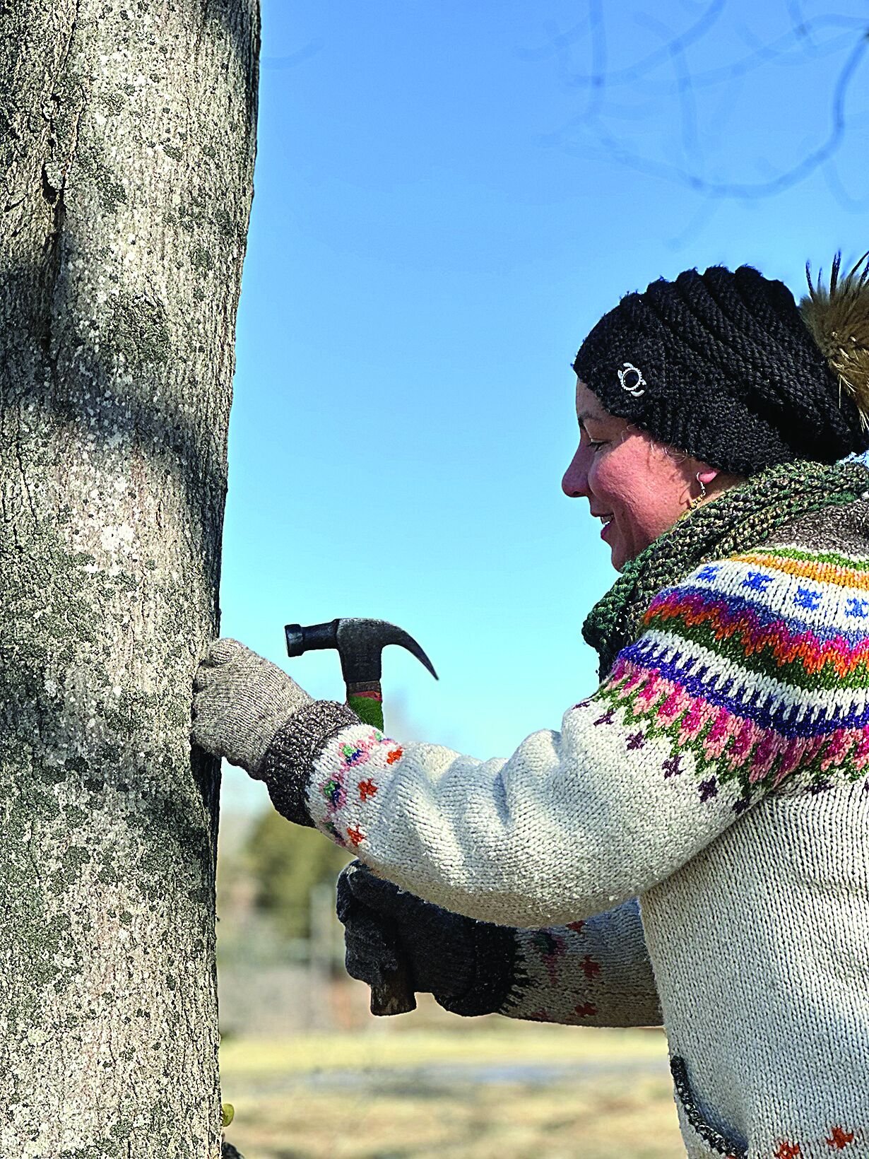 It’s Maple Syrup Making Season at Flanders | Community Events ...