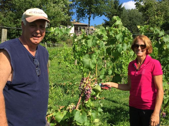 Hawk Ridge Winery building toward the future | Top Stories ...