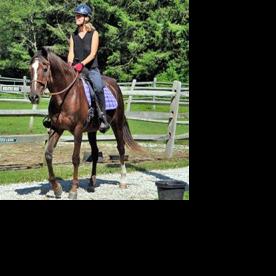 WICKED | Pets & Horses | primepublishers.com