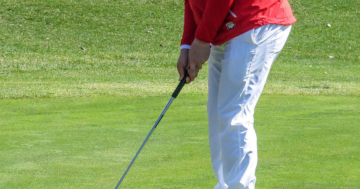 Pomperaug Golf: Panthers Defeat New Milford, Brookfield | Local Sports ...