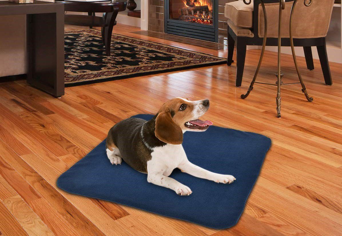 Amazon shoppers are raving about this heated pet mat | Home-and-garden ...