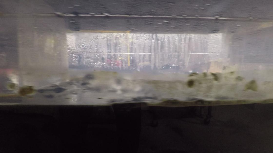 Project Lab: Molasses rust removal's dark secret | Home-and-garden ...