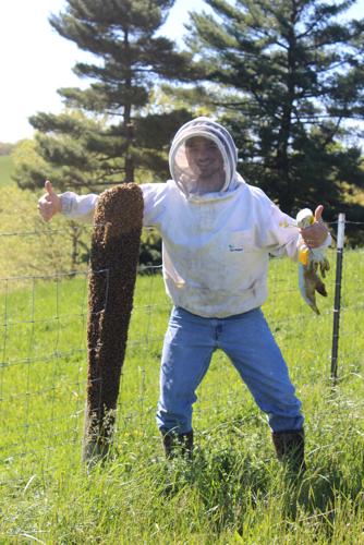 Grassy fields to the Grassroots District: Blue Ridge Bee Company set to ...