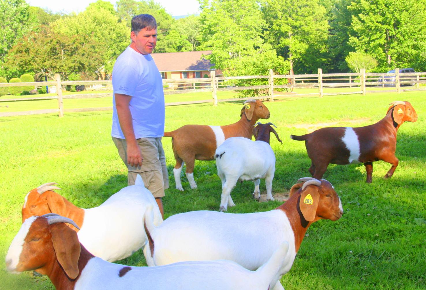 Raising goats a labor of love for local man | Gallery | ptonline.net