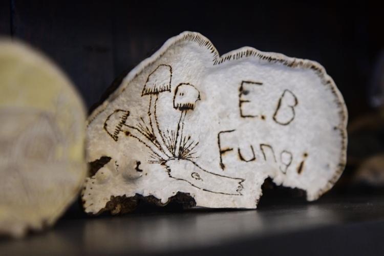 Fungi Fun in Mercer County | Lifestyles | ptonline.net